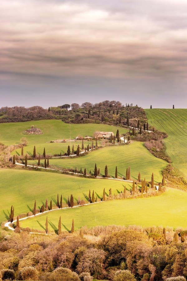 Tuscany in spring stock photo. Image of valdorcia, sunny - 260364616