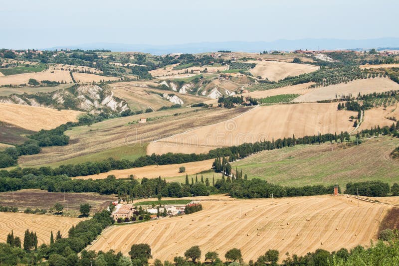 Tuscany summer landscape stock photo. Image of plant - 15263974