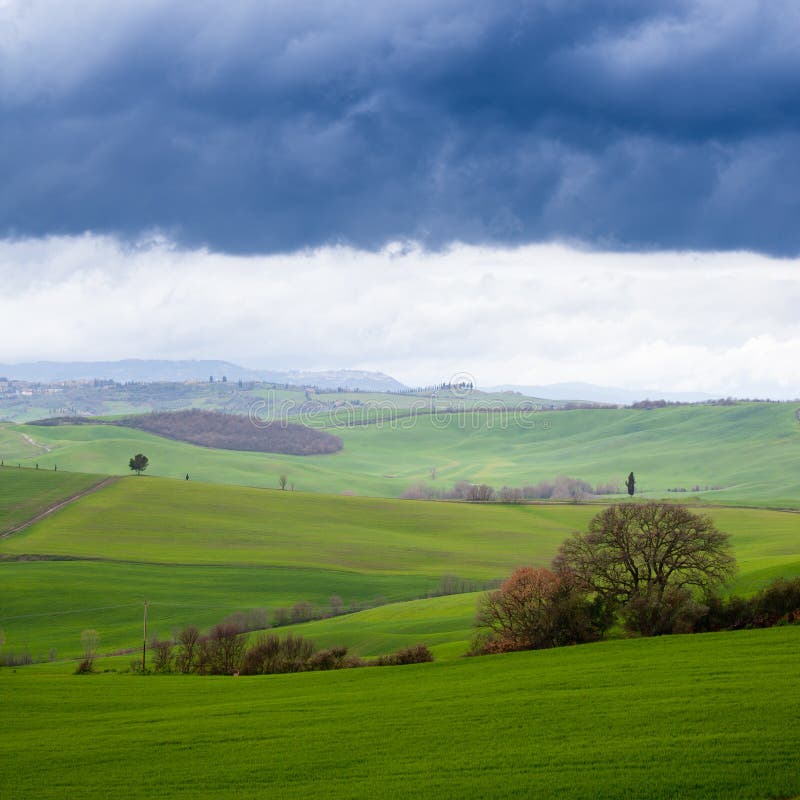 Tuscany stock image. Image of cypress, forest, house - 30464395