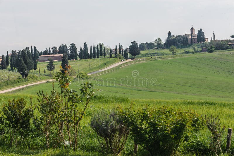 Tuscany Valley with Single Lane Road Stock Photo - Image of meadow ...