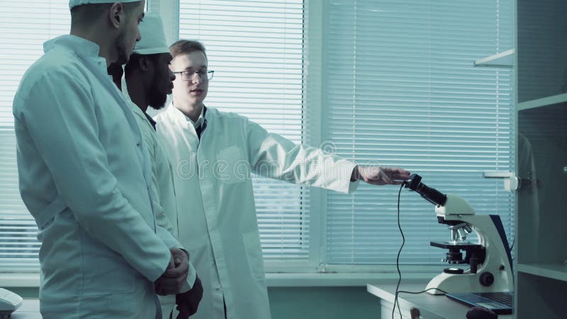 An Electron Microscope Image of a Neural Tissue Section Giving a ...