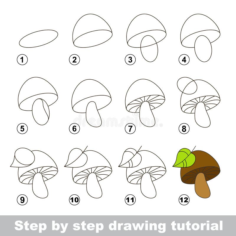 Tutorial Del Dibujo Cómo Dibujar Una Seta Ilustración del Vector ...