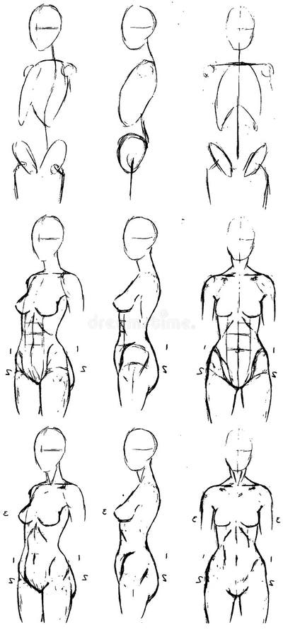 Tutorial of Drawing Female Body. Drawing the Human Body, Step by Step ...
