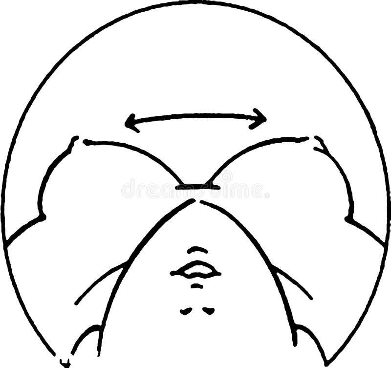 Female Breast Drawing Tutorial. Drawing a Woman S Body with an Emphasis ...