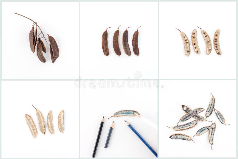 Tutorial for Kids, Step by Step Instruction Stock Photo - Image of ...