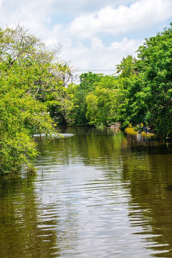 Tuxpan River, Mexico stock photo. Image of mexican, river - 151227538