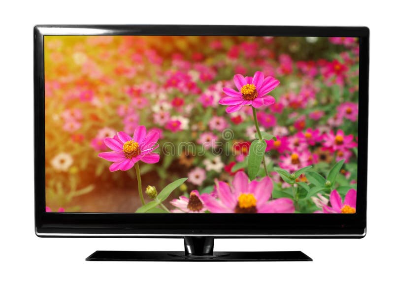 Tv with flowers stock photo. Image of digital, black - 60814390