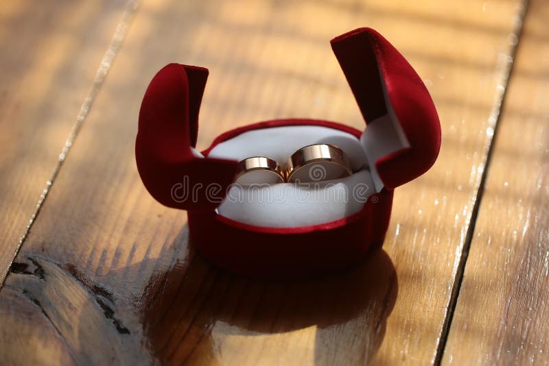 Twee Glanzende Gouden Ringen Stock Foto - Image of ceremonie, luxe ...