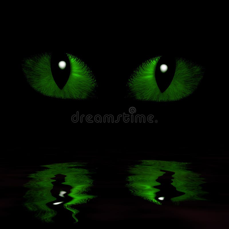 Twee katachtige ogen stock illustratie. Illustration of jacht - 4497736