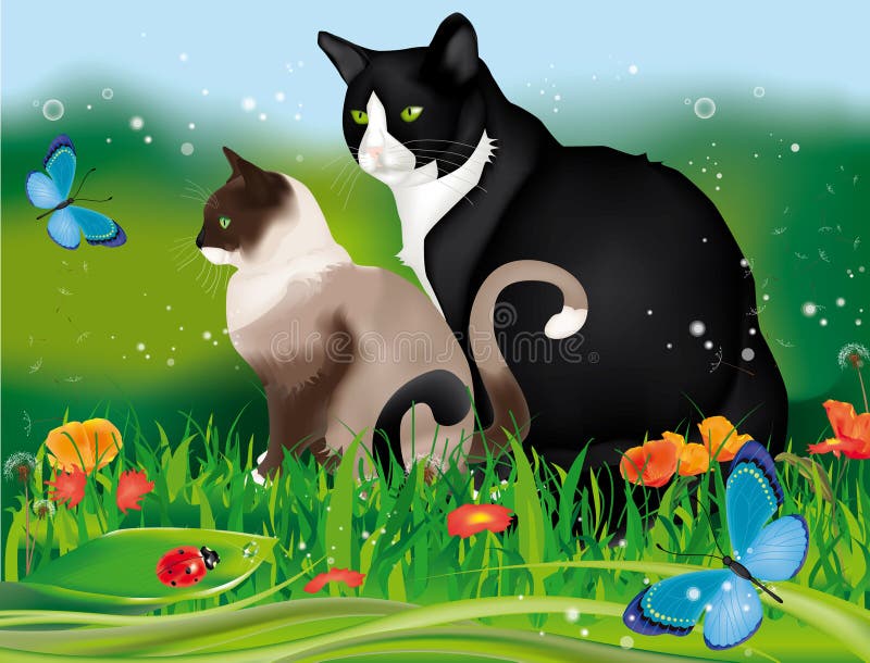 Twee katten in tuin vector illustratie. Illustration of openlucht ...