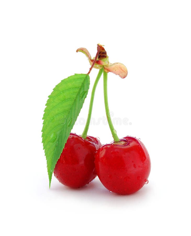 Een Hele Kersen En Een Halve Vrucht Met Een Witte Pit Stock Afbeelding ...