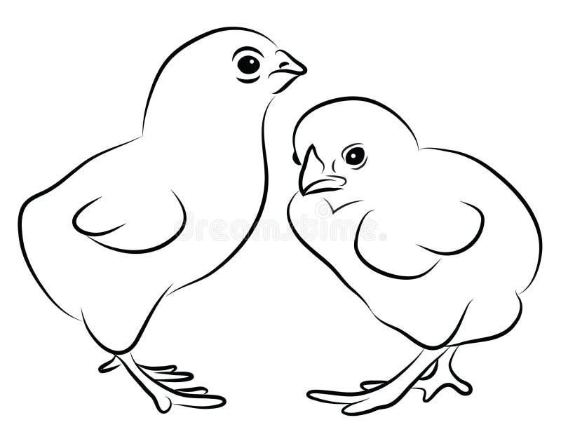 Schets van Kip vector illustratie. Illustratie bestaande uit klem ...