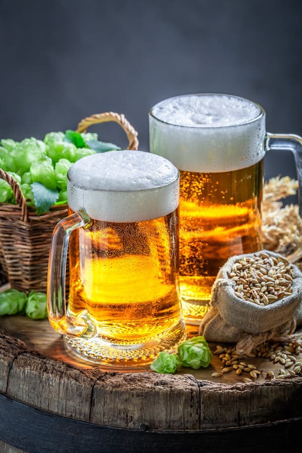 Twee Gouden Pinten Van Bier Met Schuim, Tarwe En Hop Stock Afbeelding ...