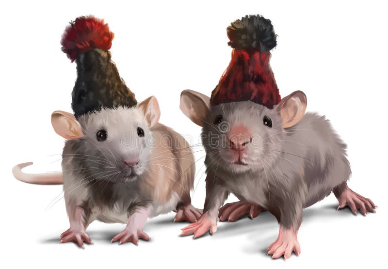 Twee Muizen Die Hoeden Dragen Stock Illustratie - Illustration of ...