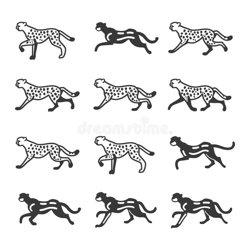Twelve Cheetahs Running in Different Poses: African Wildlife Vector ...