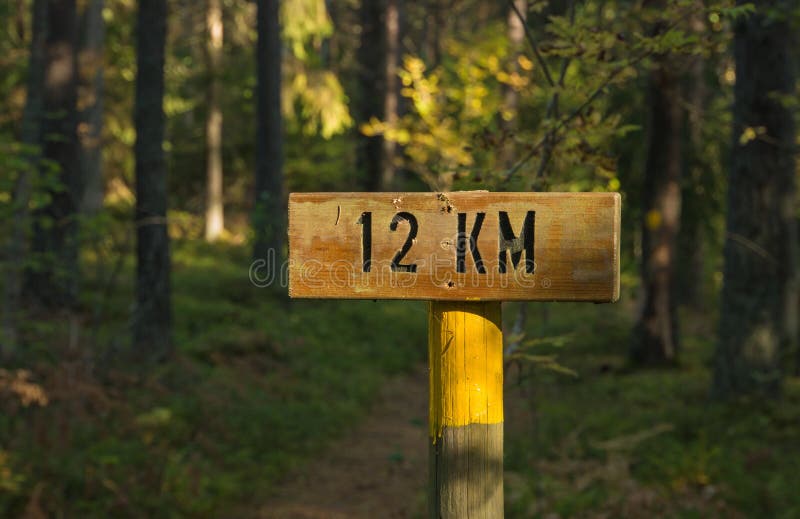 Twelve kilometers left stock photo. Image of trunks, pole - 46931276