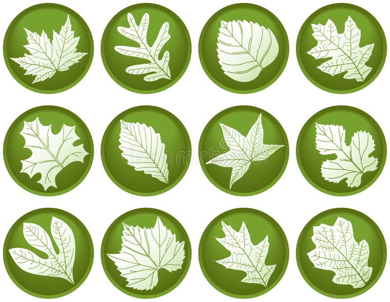 Green Pot Leaf Background stock vector. Illustration of drug - 4213904
