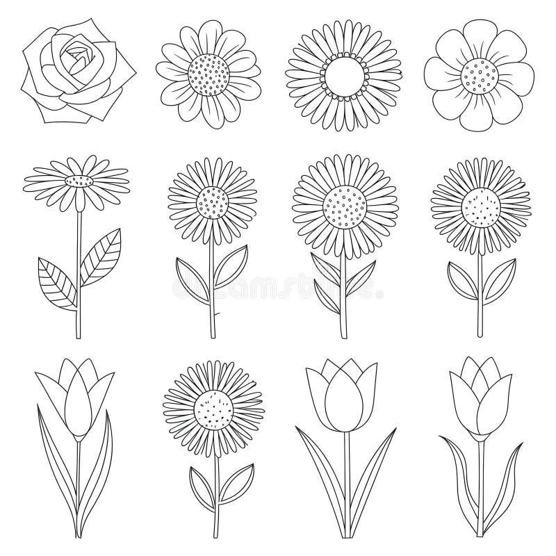 Beautiful Flower Coloring Pages: Unique Designs for Relaxation Stock ...