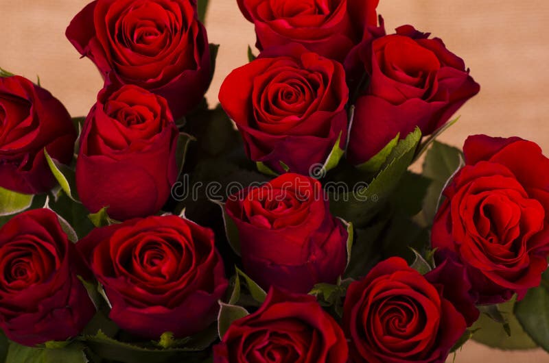 Twelve Red Valentine Roses stock image. Image of valentine - 48826187