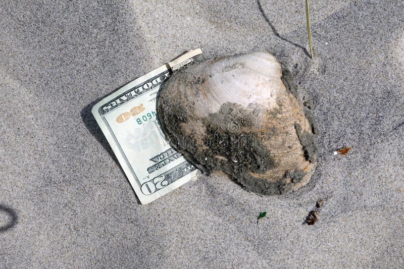 Twenty Dollar Bill Partially Covered by a Seashell on a Sandy Beach ...