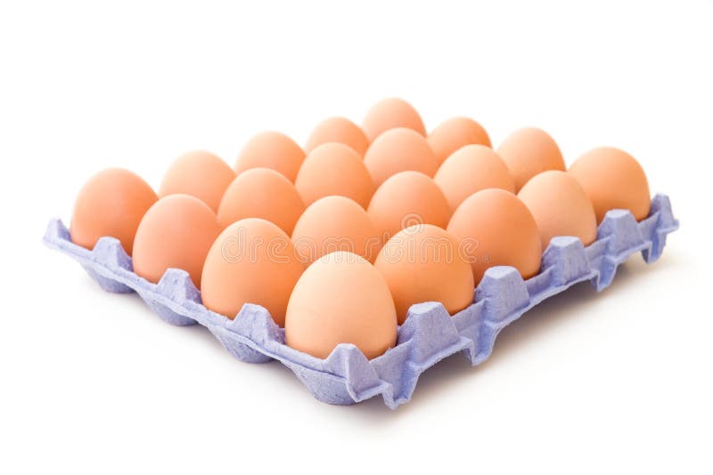 Twenty eggs stock image. Image of carton, easter, fresh - 13162415