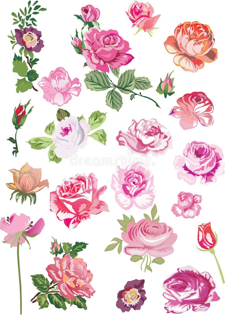 Twenty Flowers Stock Illustrations – 350 Twenty Flowers Stock ...