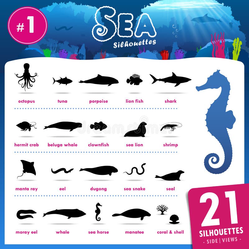 Different Sea Animal Part 1 Stock Illustrations – 3 Different Sea ...