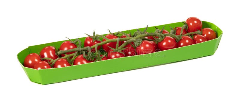 Twig of Fresh Cherry Tomato on Tray, Isolated Stock Image - Image of ...