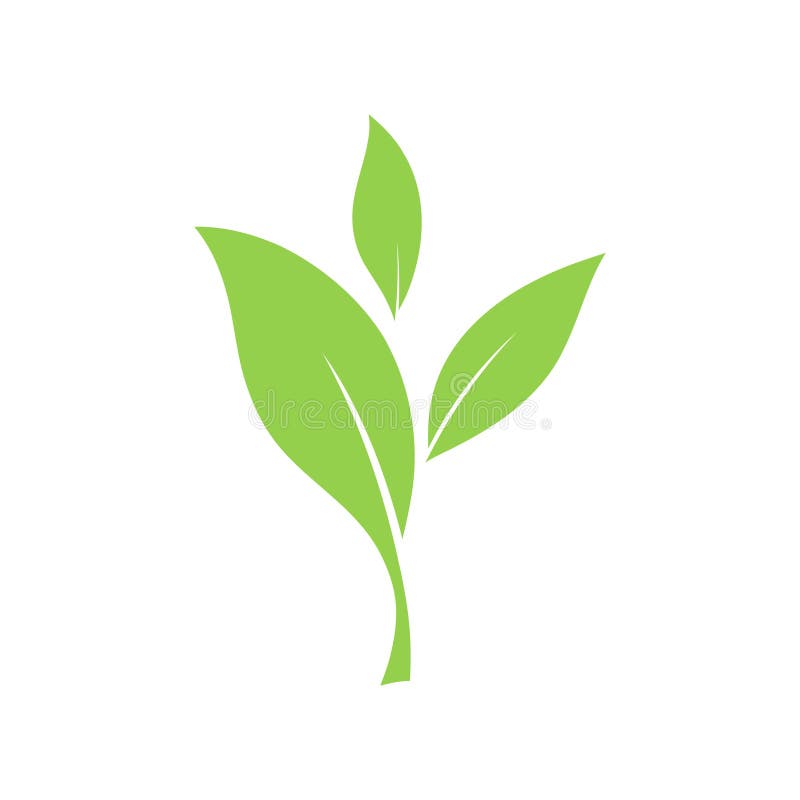 Twig Icon Green Leaf, Hand-drawn, Isolated on White, Flat Design ...