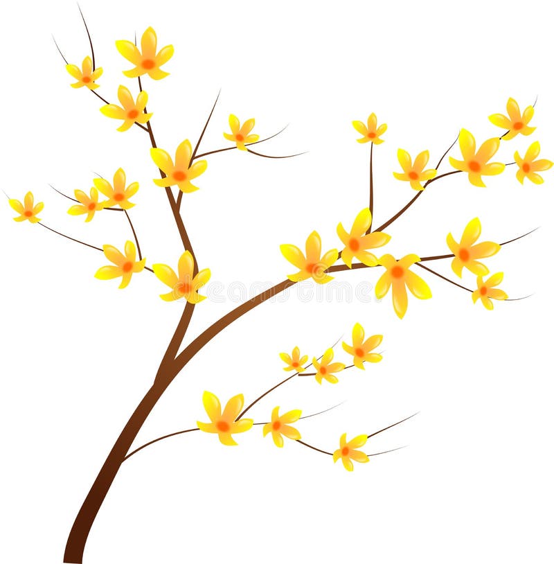 Laburnum Stock Illustrations – 595 Laburnum Stock Illustrations ...