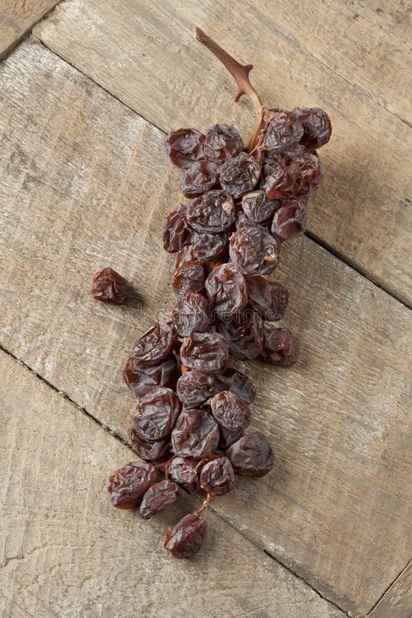 Twig of muscat raisins stock image. Image of delicacy - 50411271