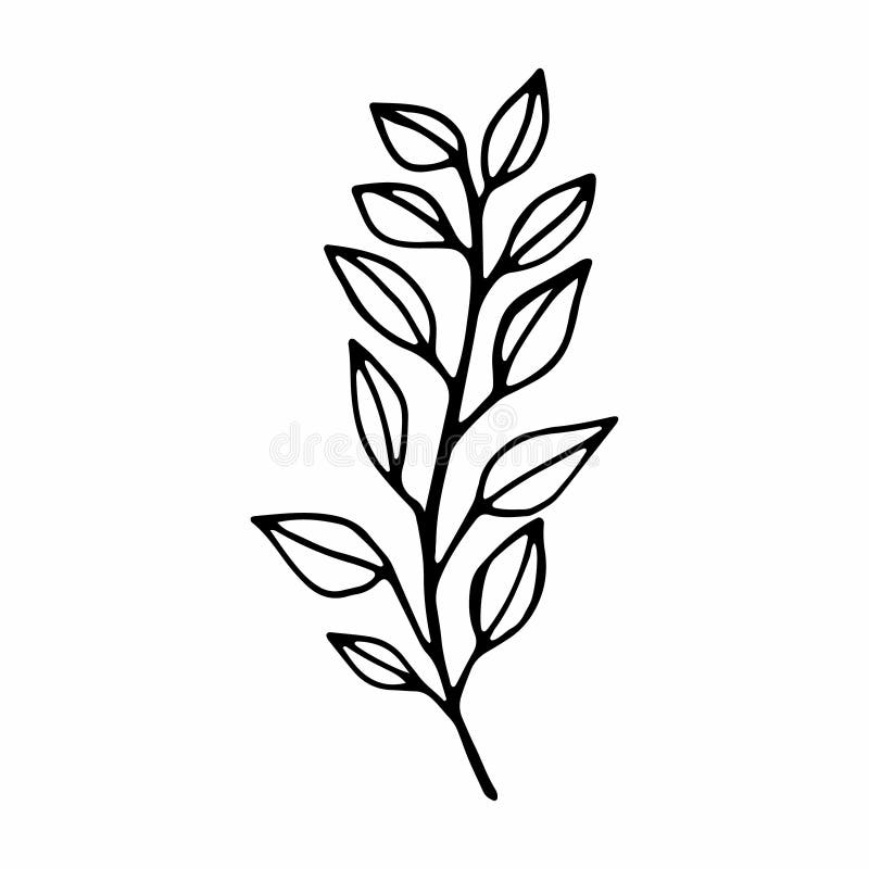 Twig Single Vector Illustration .contour Handmade Image Stock Vector ...