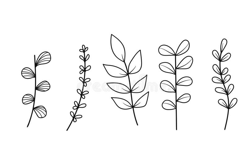 Twigs with Leaves Hand Drawn Botanical Collection Stock Vector ...