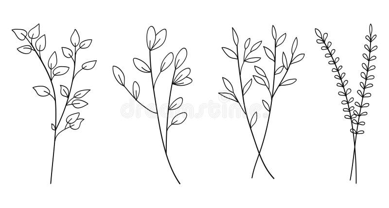 Twigs with Leaves Hand- Drawn Botanical Collection.Vector Illustration ...