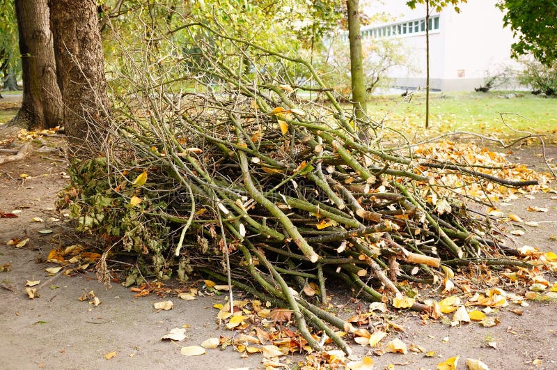 Pile of twigs stock photo. Image of garden, pile, twigs - 88278376