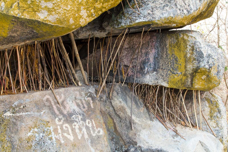 Twigs between rock stock photo. Image of nature, limestone - 38374830