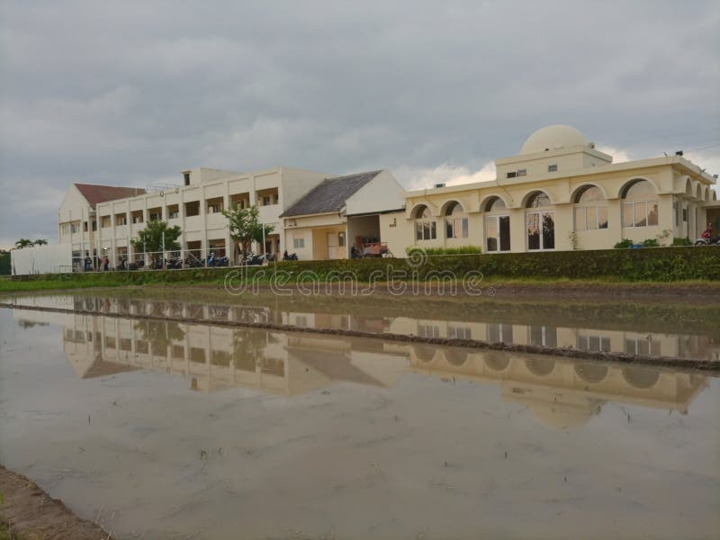 Mosque beside the Newly Irrigated Rice Fields Stock Photo - Image of ...