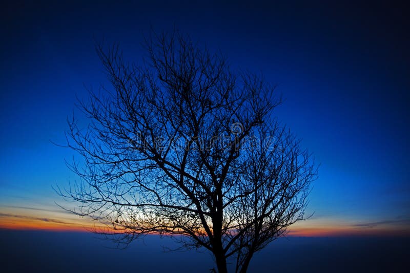 Twilight blue sky stock photo. Image of golfer, dramatic - 139360610