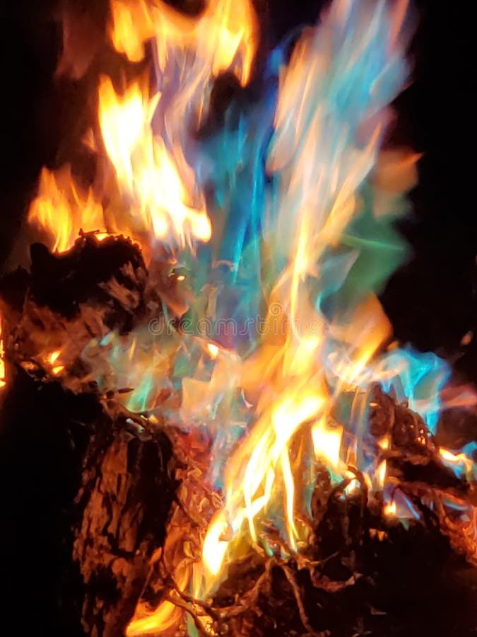 Twilight bonfire magic stock photo. Image of quail, darkness - 205996330