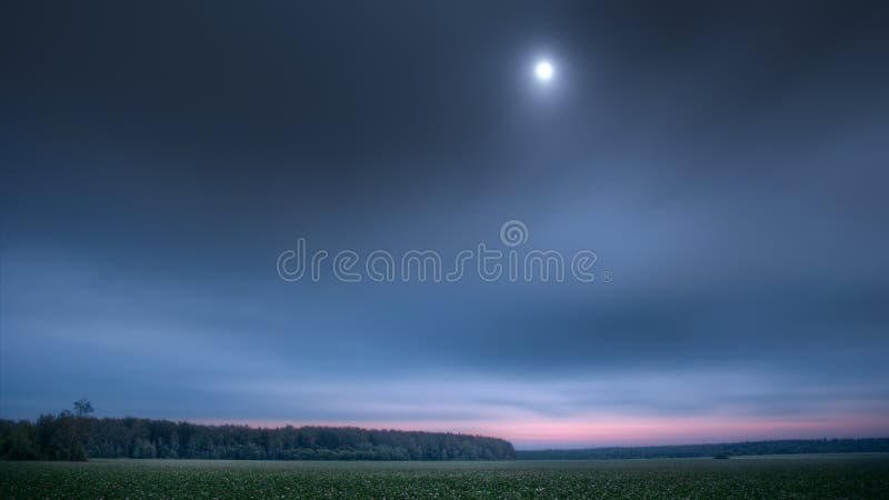Twilight Clover Field Under Full Moon in Light Clouds Stock Photo ...