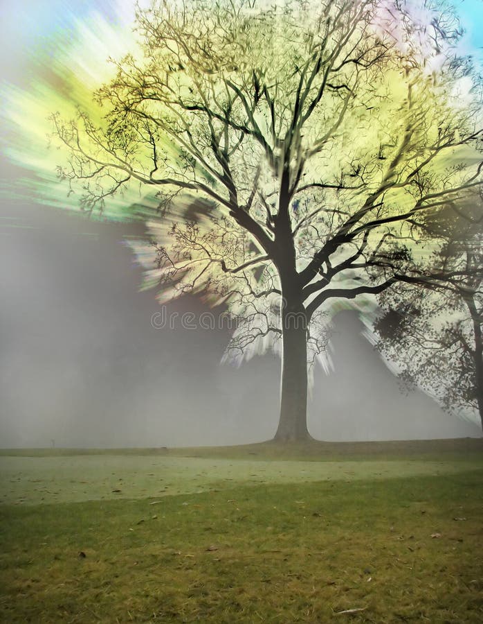 Twilight emotional tree stock illustration. Illustration of magic - 8402747