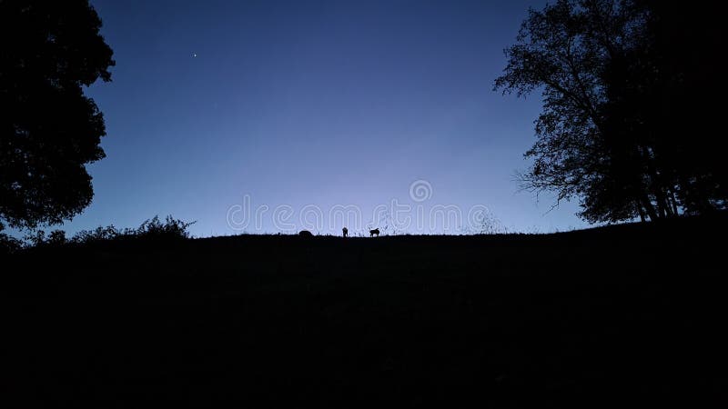 Twilight Field stock photo. Image of twilight, evening - 293572668