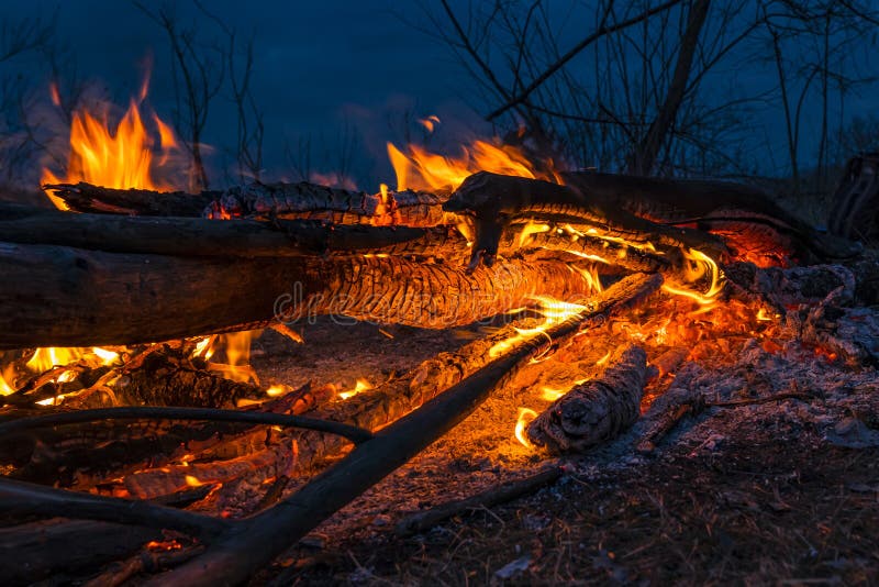 Twilight Fire Bonfire. Inviting Campfire at Camping in Night Stock ...