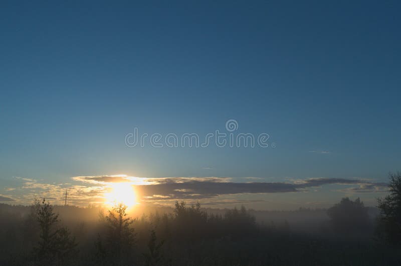 Twilight in Forest. Sun Rays Illuminate Sky and Mist Over the Meadow ...