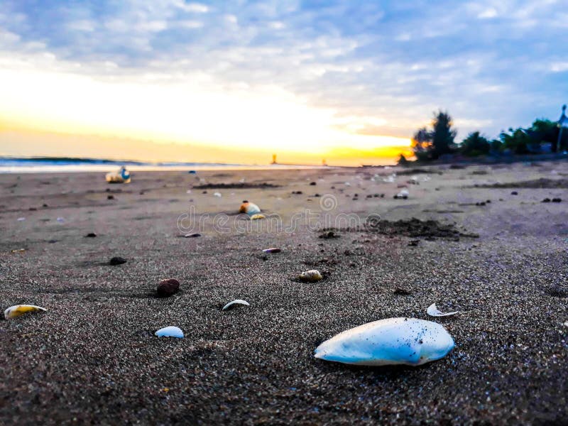 Only Twilight Knows How To Say Goodbye Beautifully.& X22; Stock Image ...