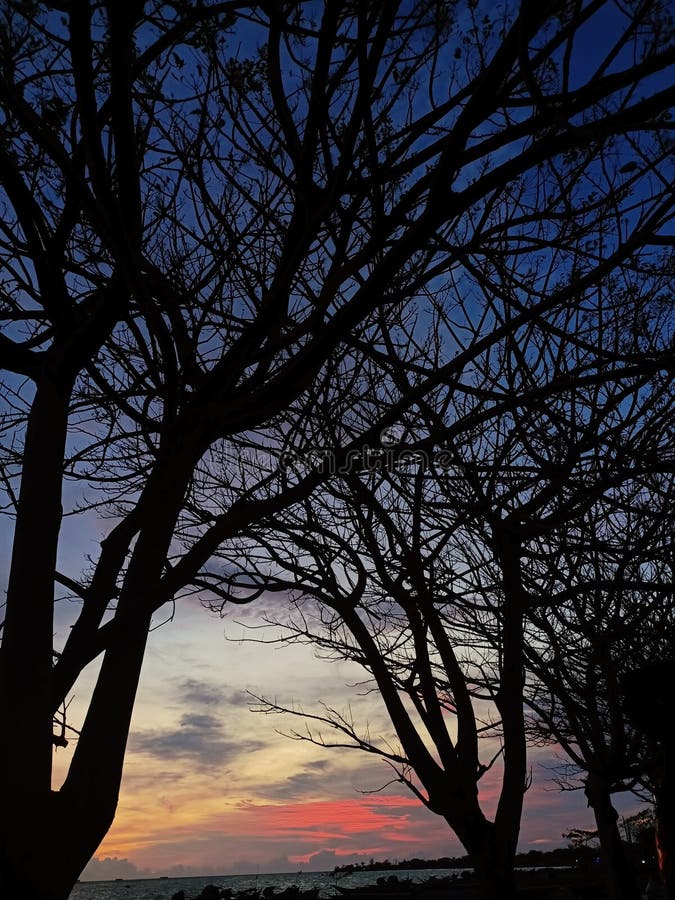 Only Twilight Knows How To Say Goodbye Properly. because Twilight ...