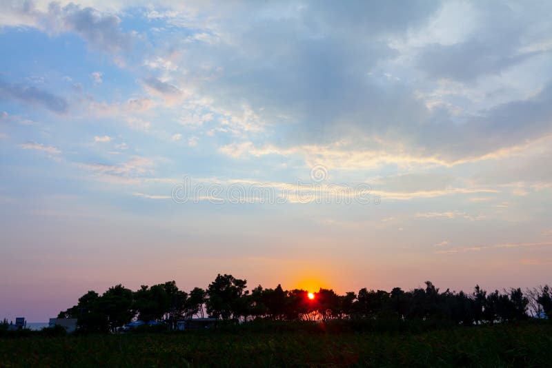 Twilight over the treetops stock image. Image of natural - 243503021