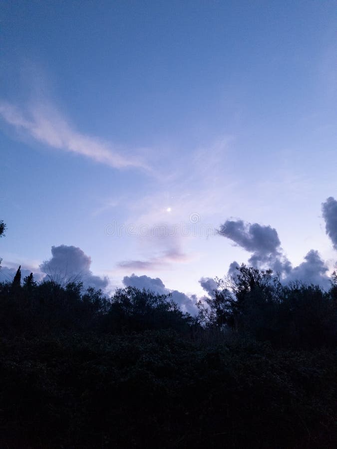 Twilight Sky with Moon and Clouds Over Silhouetted Trees Stock Photo ...
