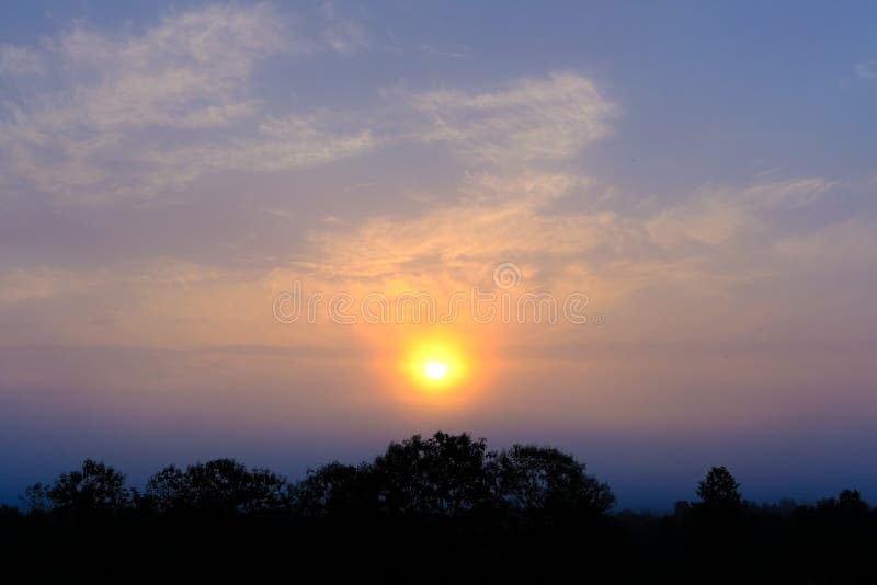 Twilight Sunset Sky with Silhouette Forest Stock Image - Image of ...