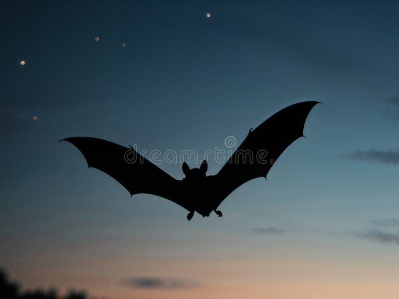 Twilight Time Outline of a Bat Flying Across the Night Sky. Stock Image ...